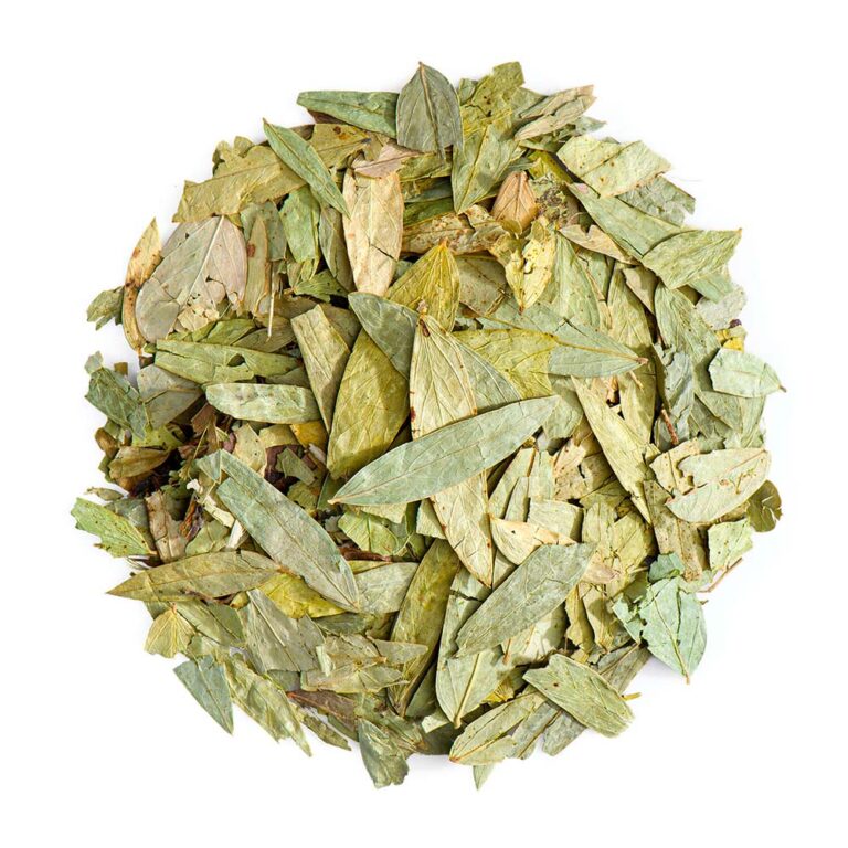 Le séné - la plante et ses propriétés médicinales